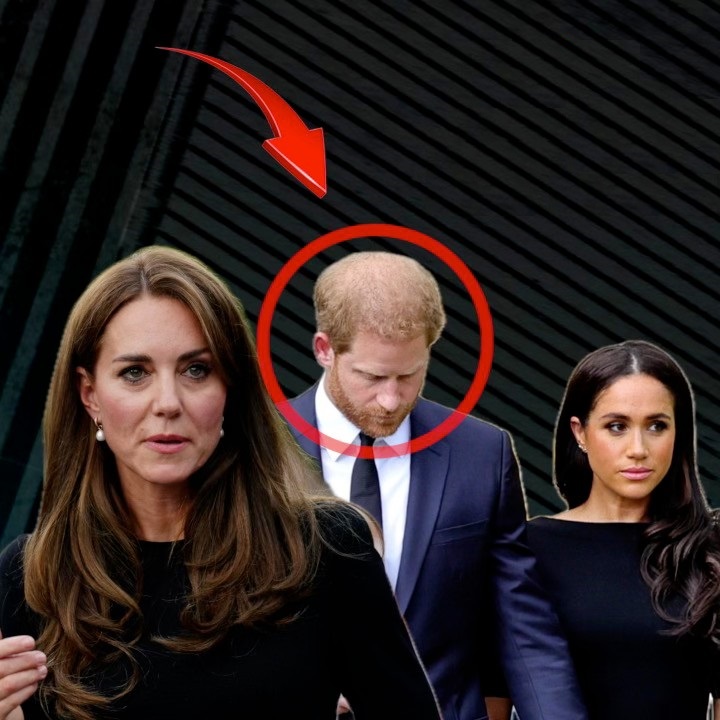 Kate sentence that destroyed Harry and Meghan - Science Techy