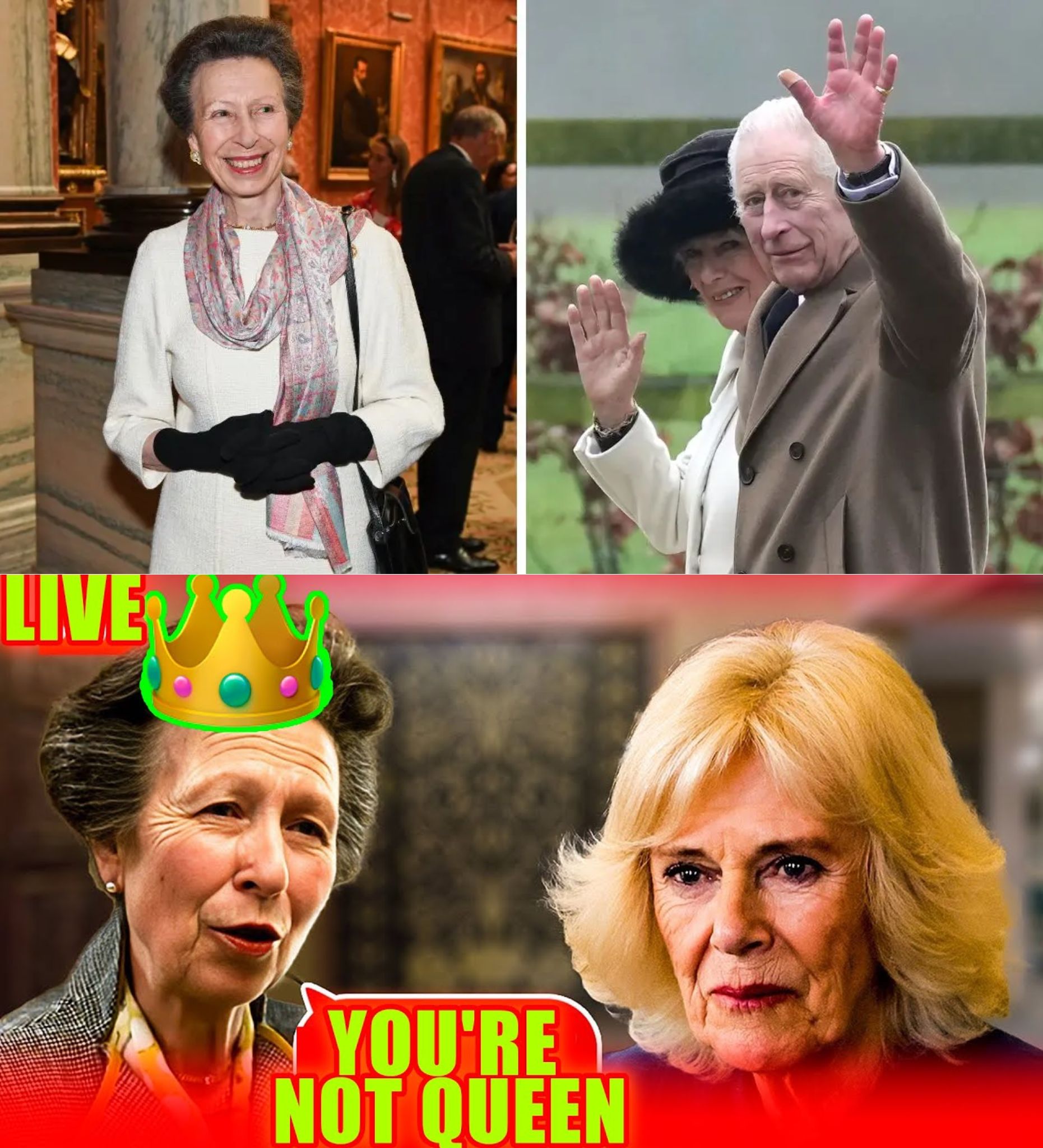 In a move that has left the royal family and the public reeling ...