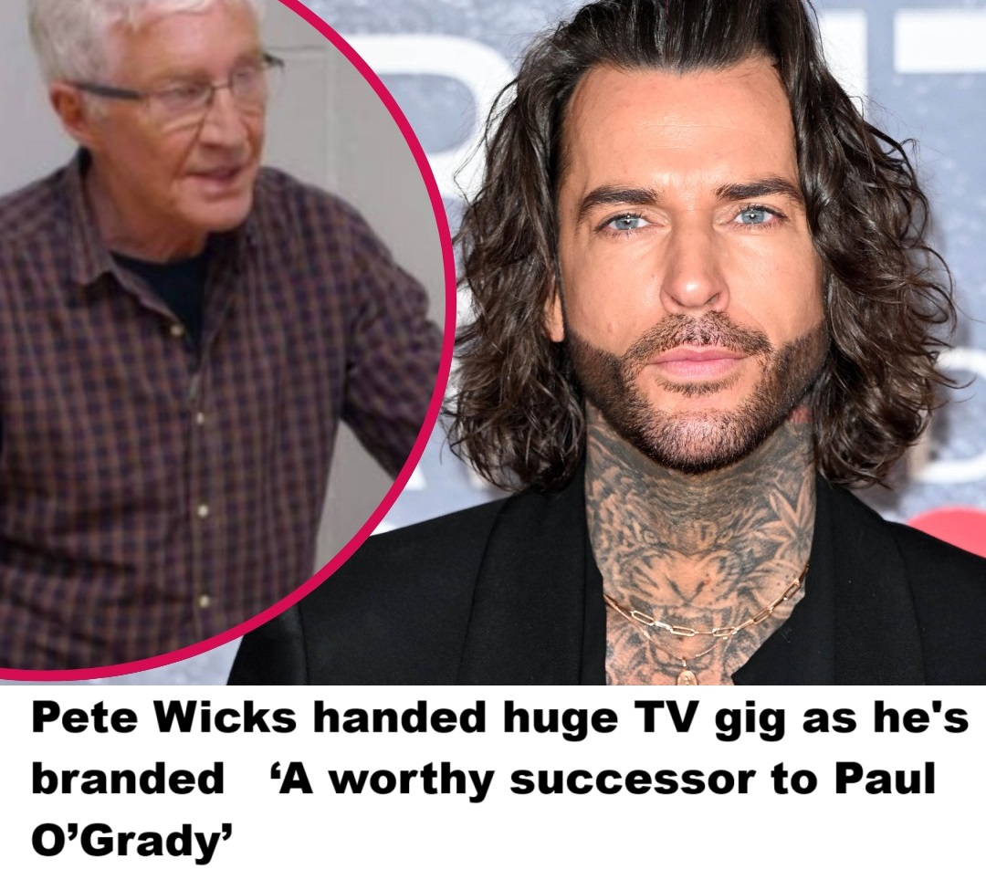Pete Wicks ‘lands second series’ of For Dogs’ Sake: ‘A worthy successor ...