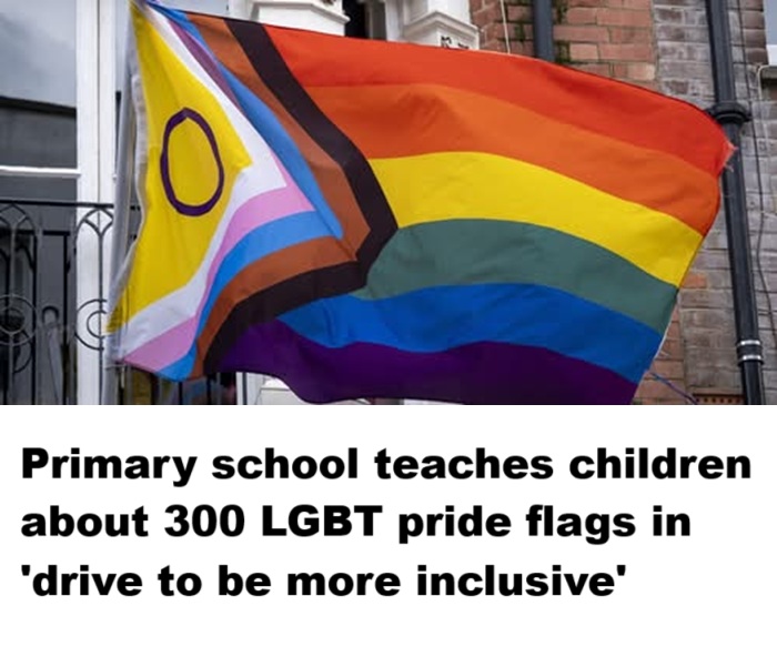 Primary school teaches children about 300 LGBT pride flags in 'drive to be more inclusive ...
